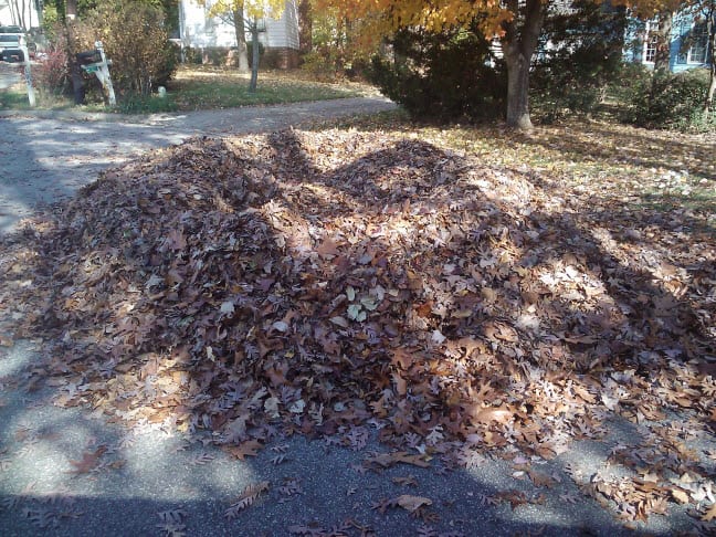 Leaf Piles on the Street? Watch for Children - LOWENTHAL AND ABRAMS, P.C.